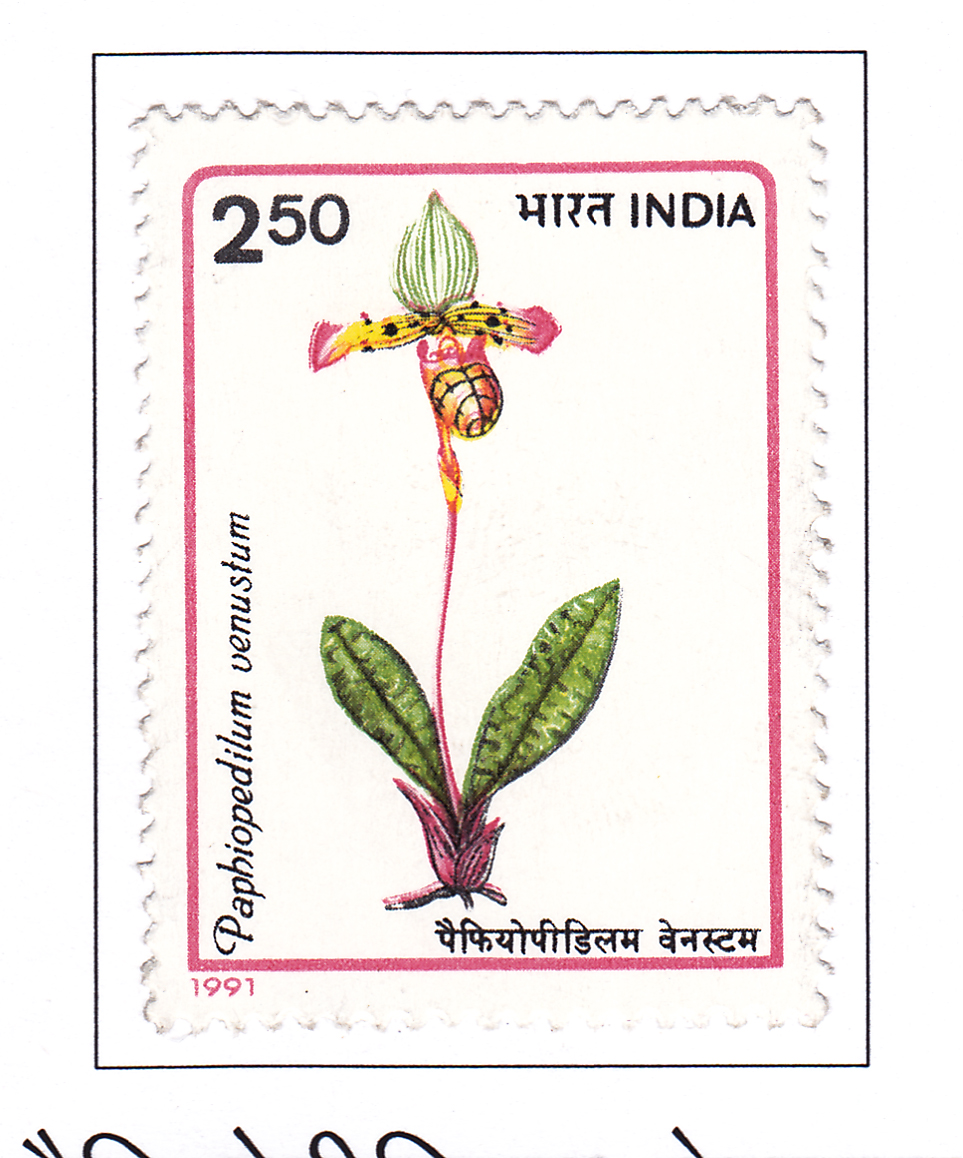 coins and more: 1597) "Flowers & Trees", Nature Through India Postage ...