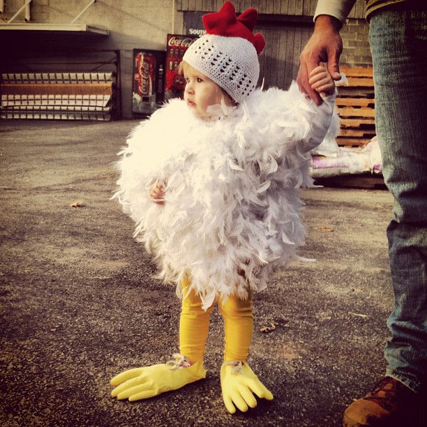 The Burnett Brood: (DIY) Chicken Halloween Costume
