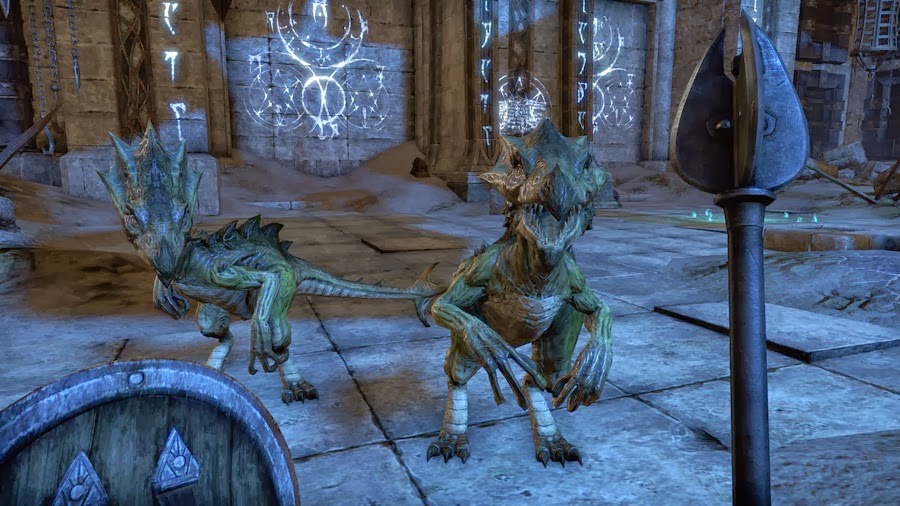 "The Elder Scrolls Online" Gameplay | RisenFallRec