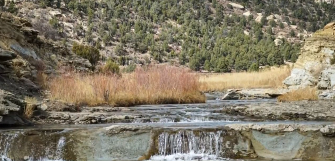 THE WESTERNER: $96M ranch on historic New Mexico coal mining site for sale