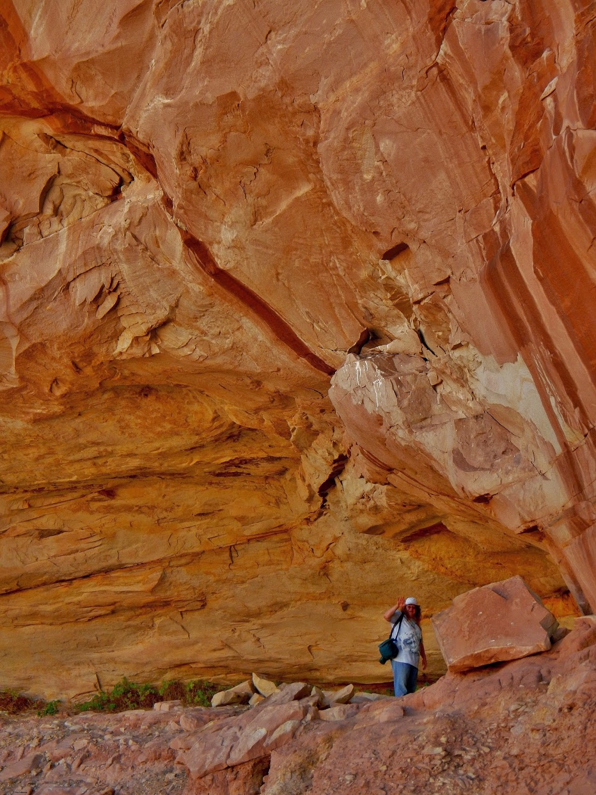 The Southwest Through Wide Brown Eyes: Wolfman Panel and Ruins - Comb ...