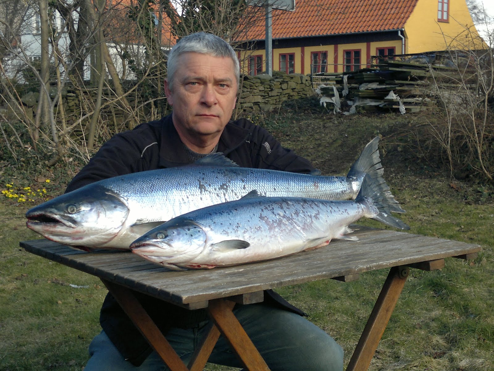 Blog fisk 14/3 - lod 215 & 216 - bornholmstrollingklub.dk