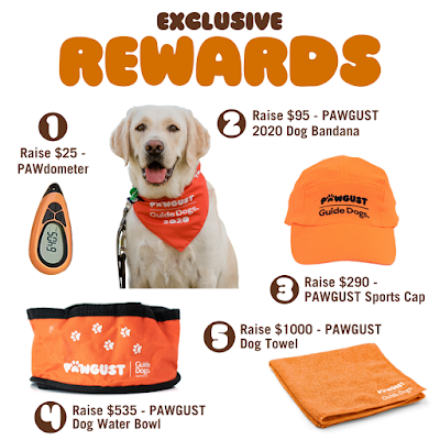 PAWGUST 2020 - Get active with your dogs in August 2020 | Australian ...