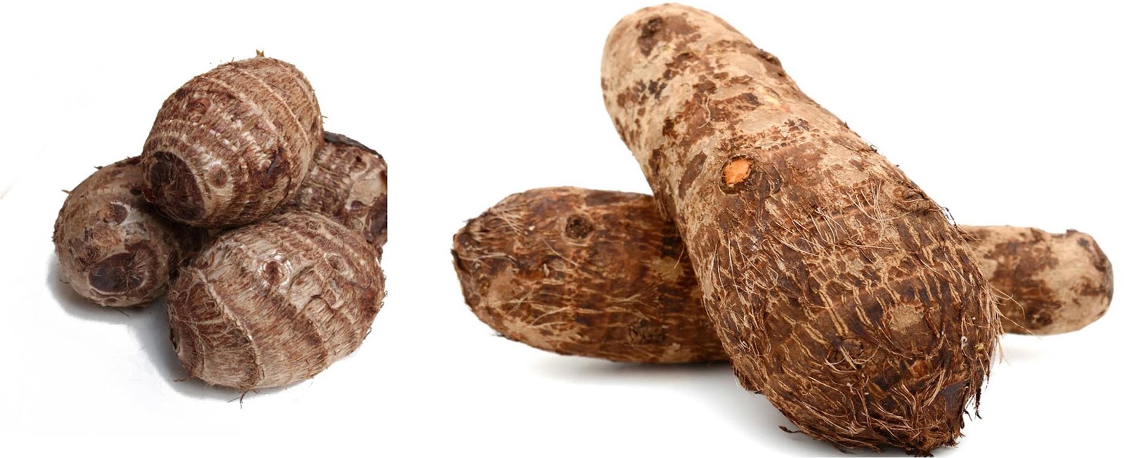 Culinary Creations: 2019