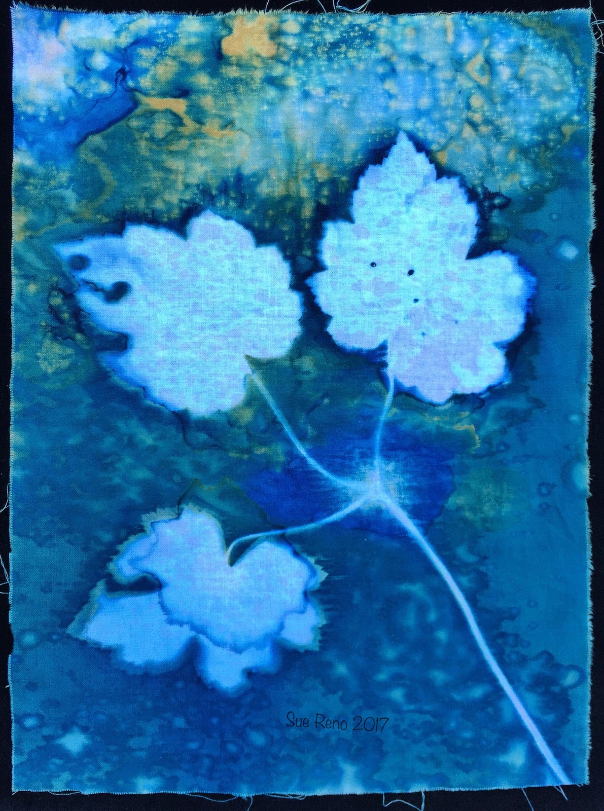 Sue Reno Studio: Experiments in wet cyanotype, part 2