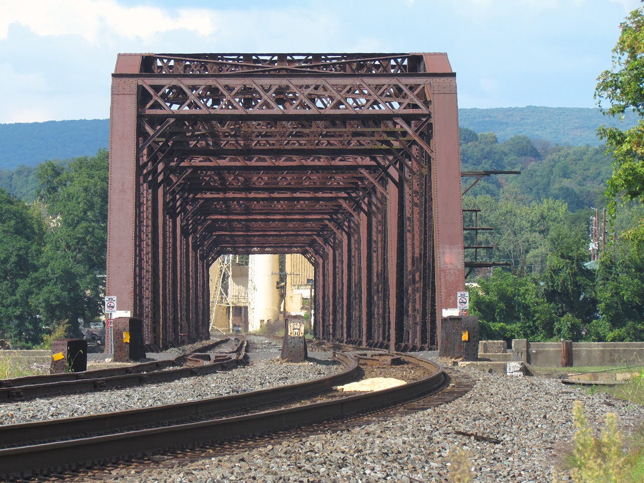 PHOTOS: BUFFALO LINE