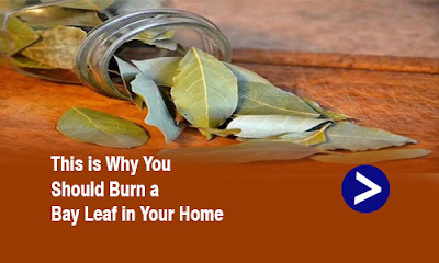 This is Why You Should Burn a Bay Leaf in Your Home - Health Recipes Article
