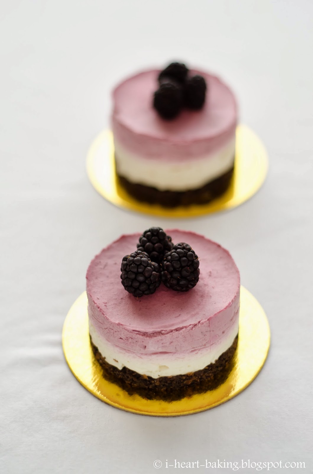 i heart baking!: individual mini blackberry mousse cakes