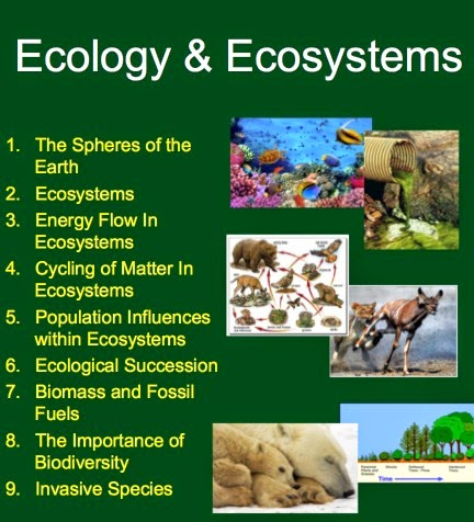 The Best of Teacher Entrepreneurs: Ecology Complete Unit: Sustainable ...
