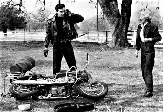 WAYNE'S WORLD OF CINEMA: ROUSTABOUT (1964)