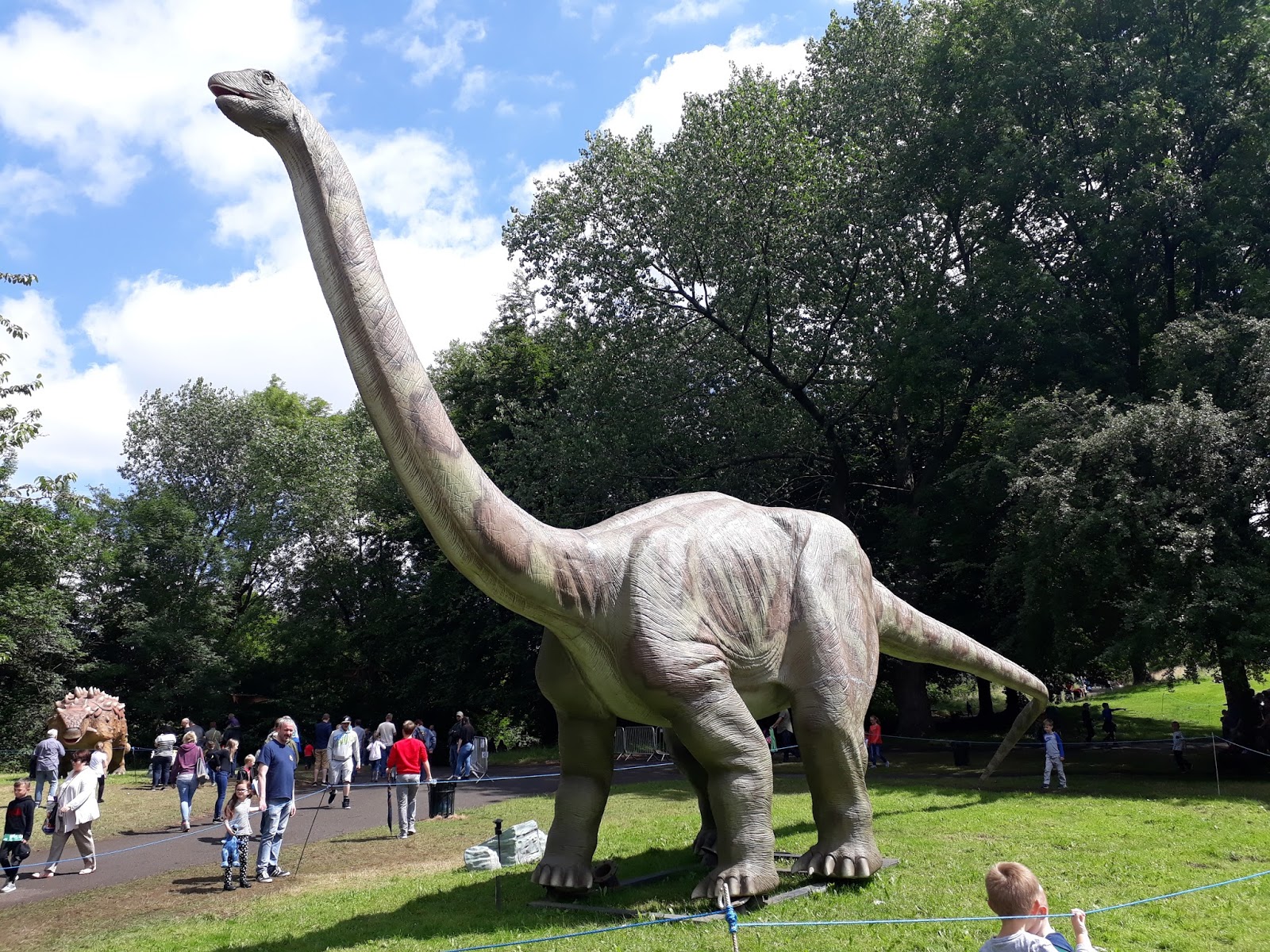 Anyonita Nibbles | Gluten-Free Recipes : A Review of the Jurassic ...