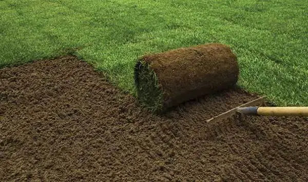 Bio Engineering : Grass Planting - ANILGAUTAM.COM.NP | Engineers Blog