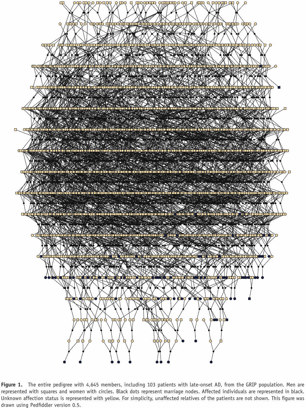 The Genealogical World Of Phylogenetic Networks Inbreeding Creates The Most Complex Networks