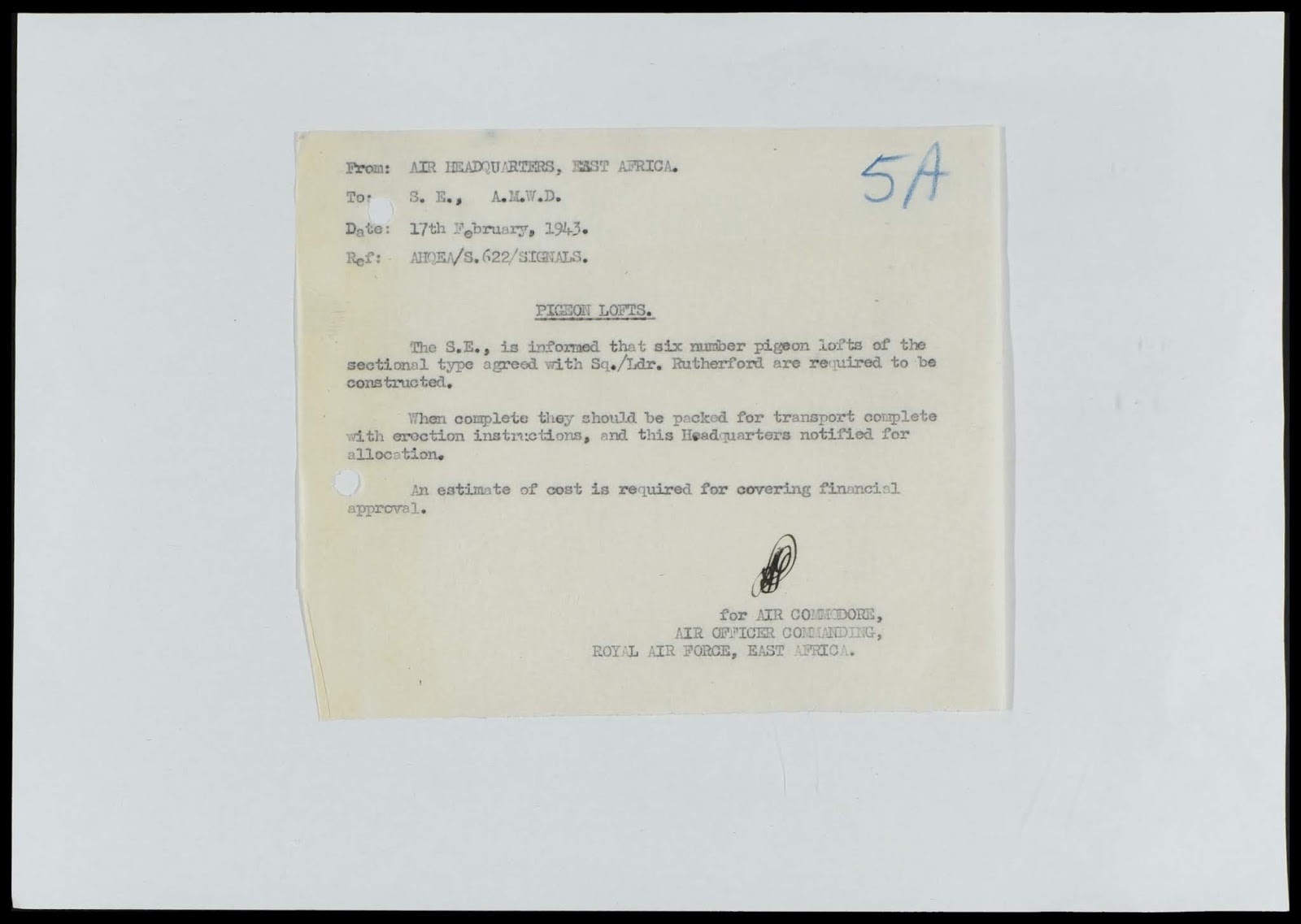 World War 2 History and the WW2 Pigeons: Have the pigeons arrived ...