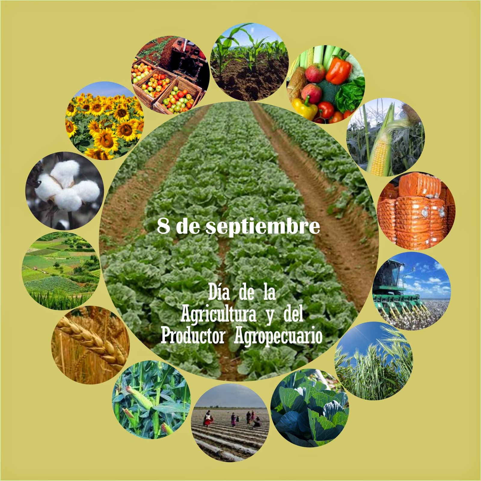 V E R D E C H A C O 8 De Septiembre Día De La Agricultura Y Del