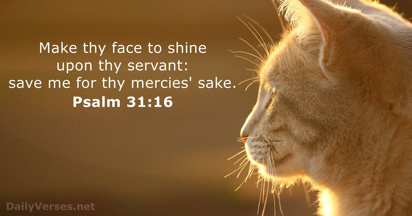 Eagle Of Dan WWW PSALM 31 KJV eagle-of-dan-www-psalm-31-kjv