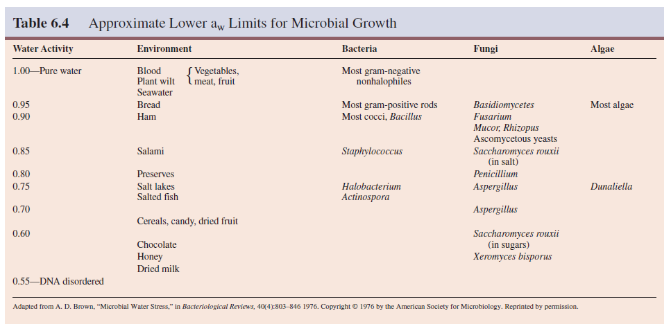 Microbiology Notes: Microbial Growth : Bacterial Growth Curve
