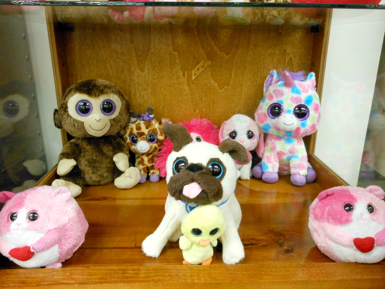 Hobbies on Display: June 2013 - Mia & Sabrina's Beanie Boos & Beanie Ballz