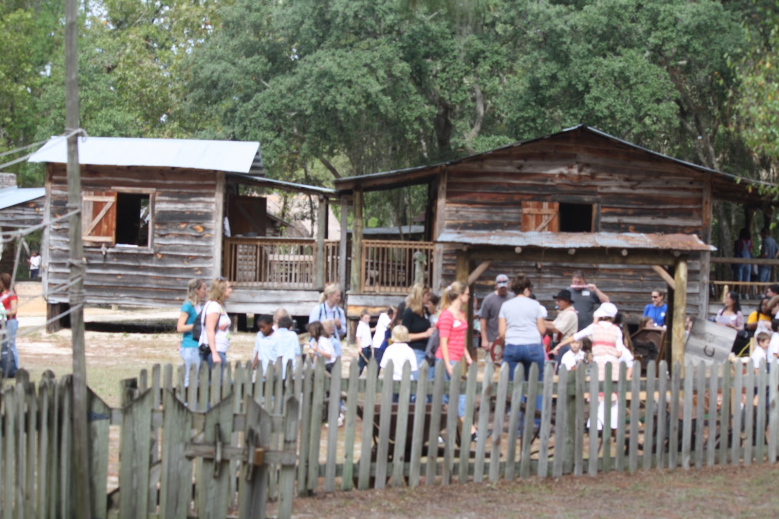 The Blue Whale and Other Travel Tales: Ocali Days at Silver River ...