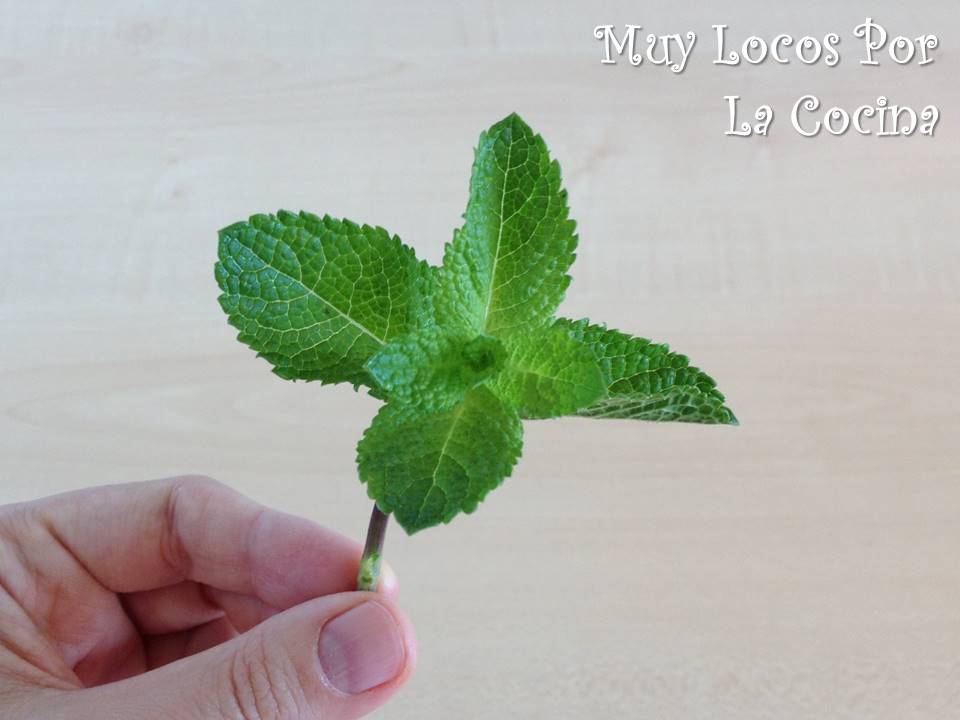 Muy Locos Por La Cocina: Ensalada de Pepino, Yogur y Menta Fresca