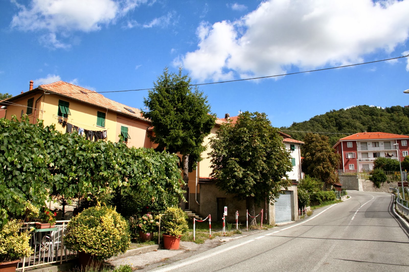 gonzopr: Orero? Or Orero?