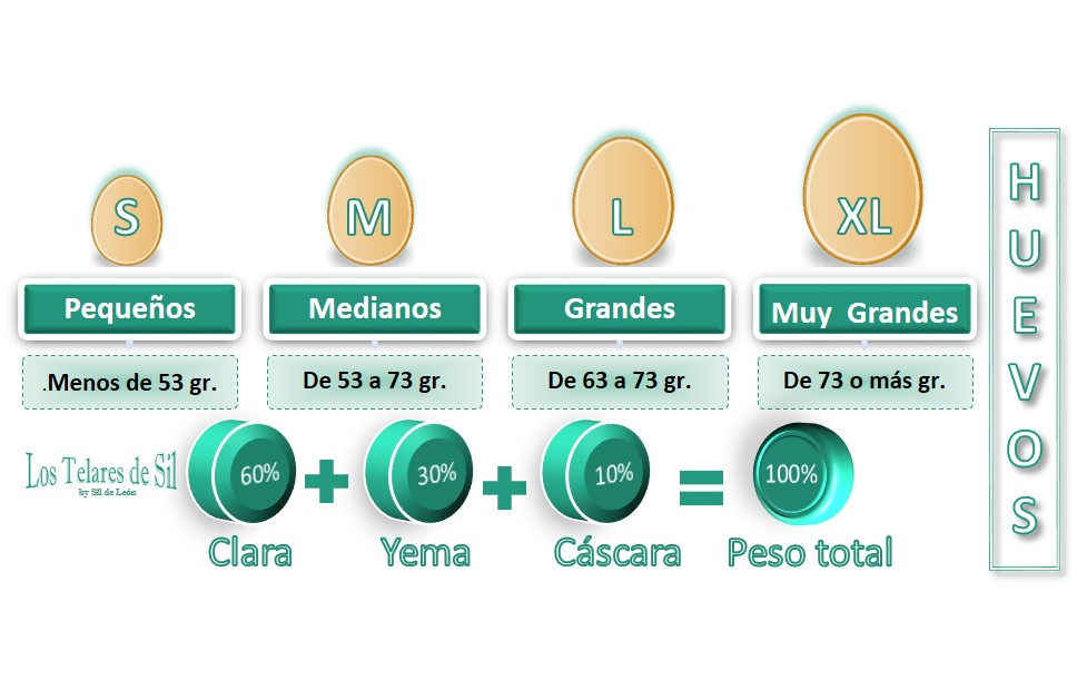 CAMINO DE SANTIAGO: PORTOMARÍN-GONZAR. (CAMINO FRANCÉS)