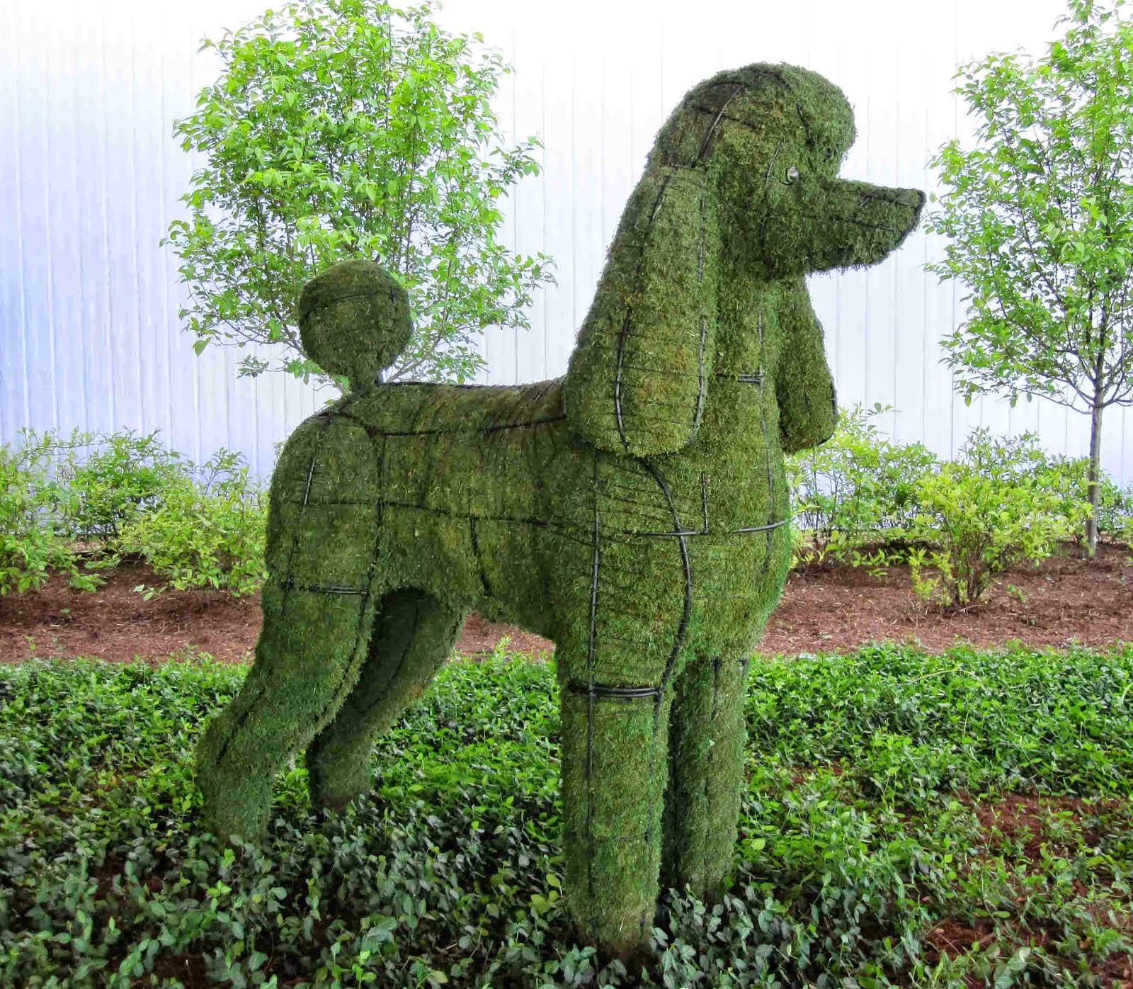 Why In Design: For The Love of Topiary, let's add these beauties to our ...