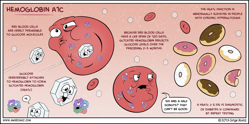 Doctor Lab (medtech): HbA1c คืออะไร หรือ ค่าน้ำตาลสะสม ค่าน้ำตาลเก่า ...