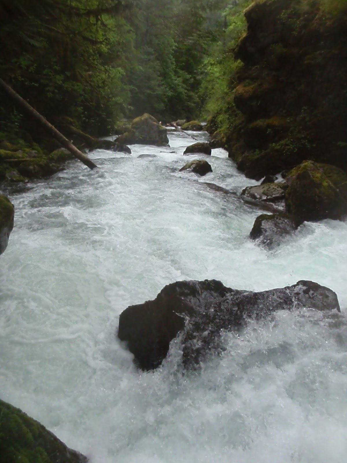 Fluid: As a lifestyle.: The Big Quilcene - Olympic Peninsula