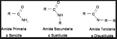 No grupo das amidas temos a Ureia , uma substância muito importante ...