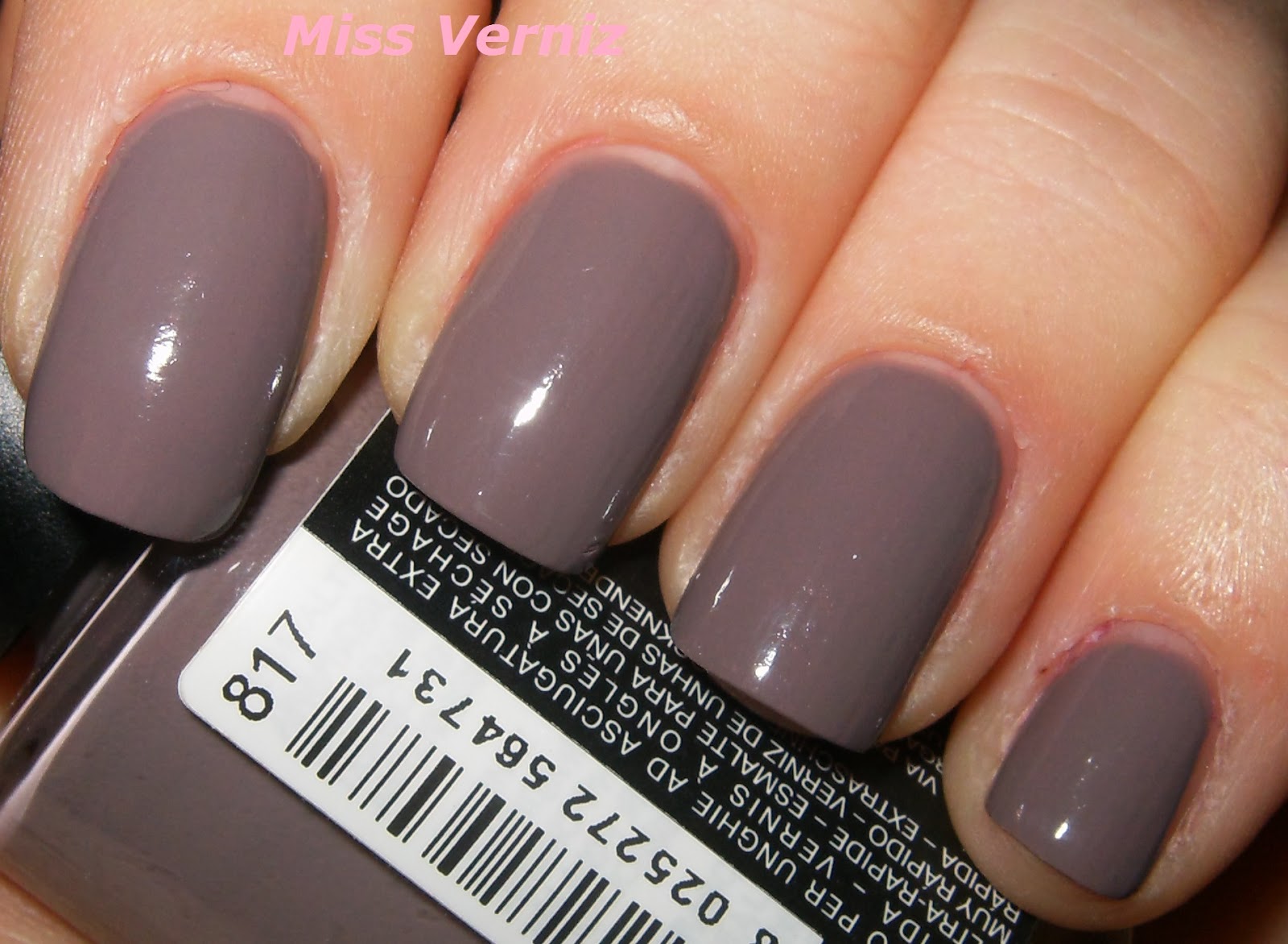 Ana_missverniz: Kiko Quick Dry Nail Lacquer Numero 817 : Light Taupe