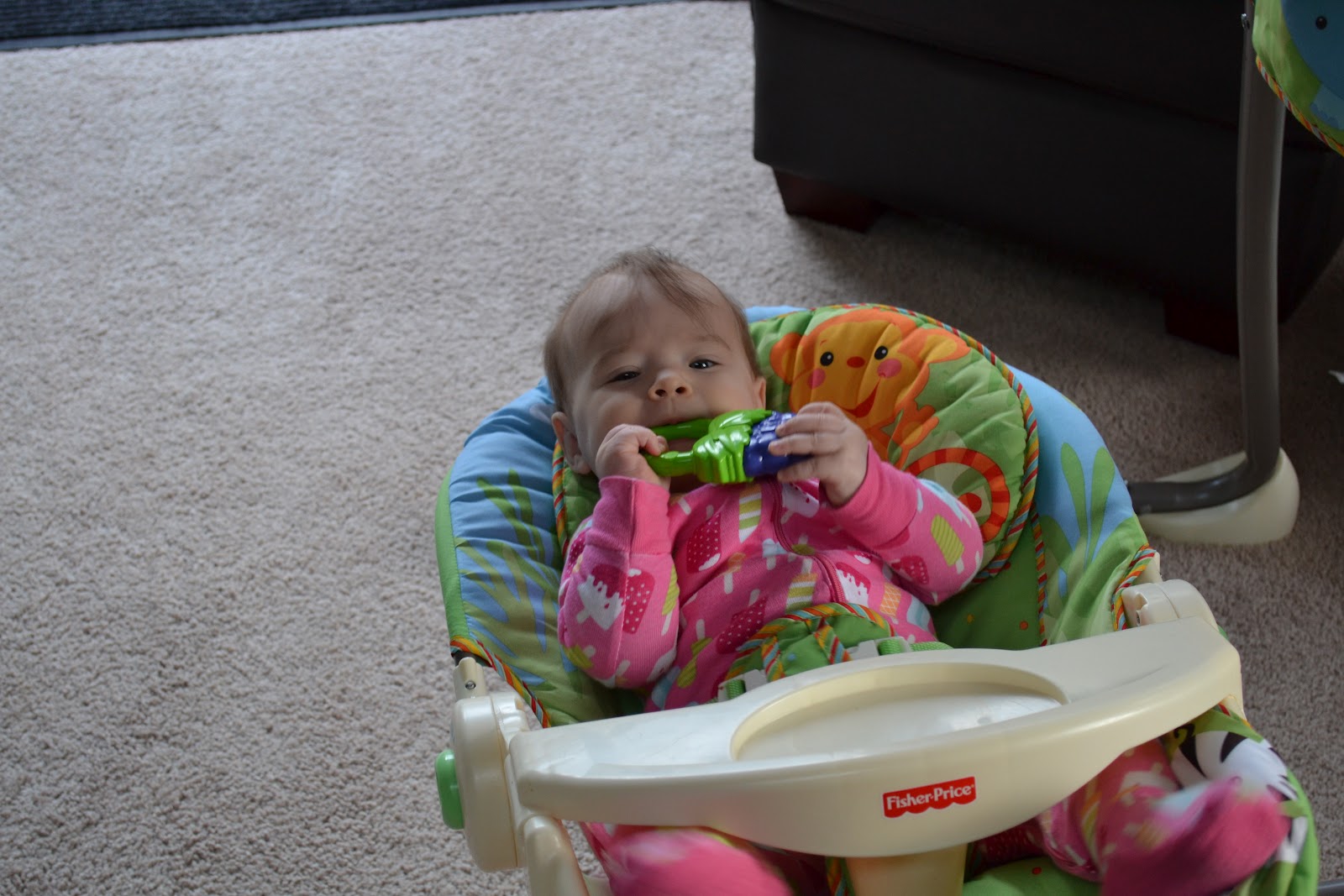 theFCMitchells: Spring Break 2012