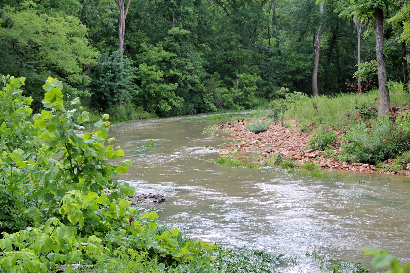 The House at Coppercreek: June 2012