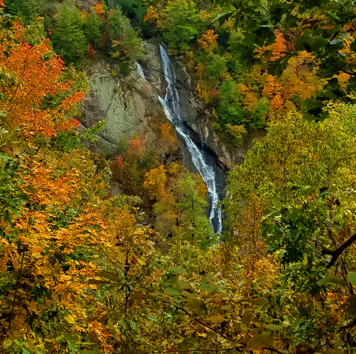 Smoky Scout's Hiking Adventures: Bottom Creek Gorge Preserve