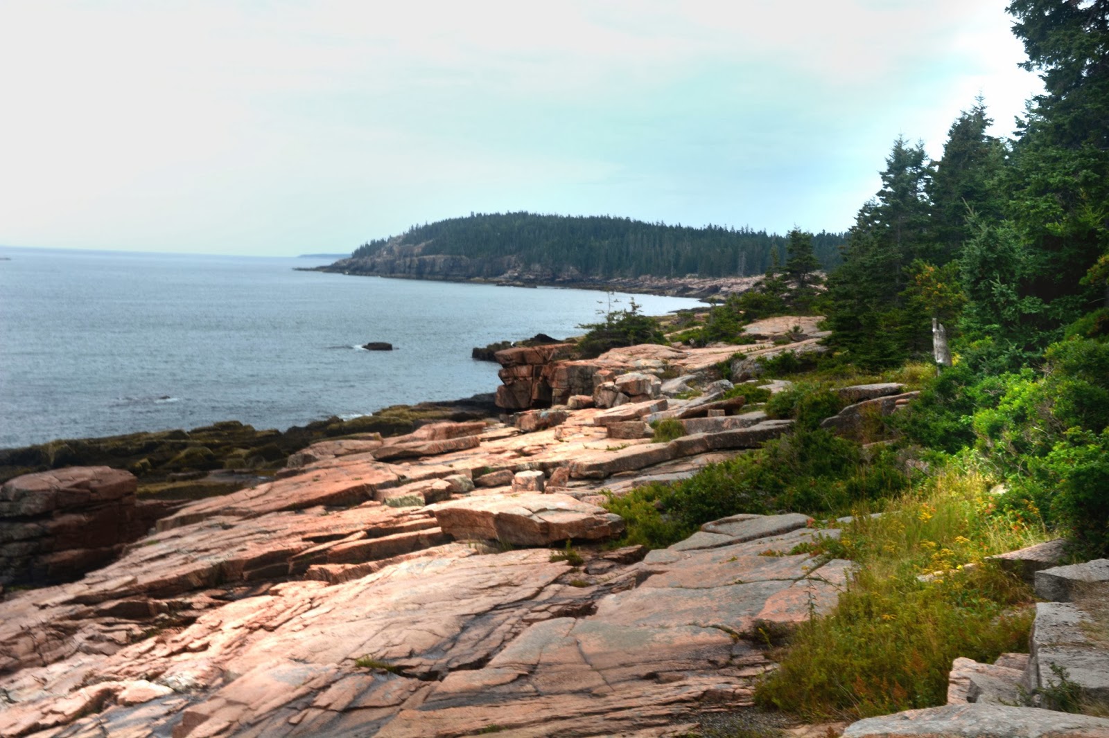 My World in Pennsylvania and Beyond: Acadia National Park Rocks