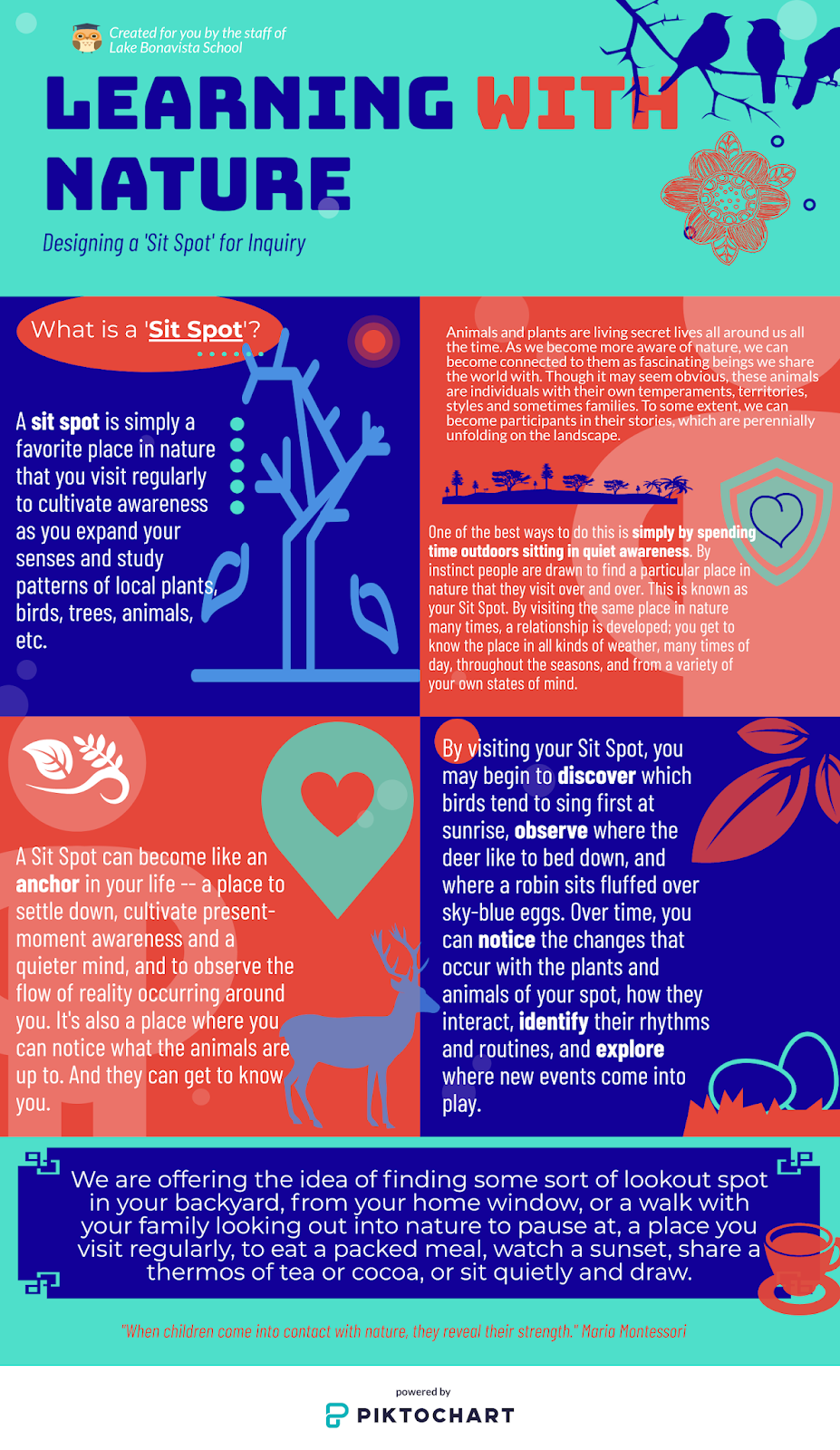 Mr. Link's Classroom Blog: School-wide Learning Activities