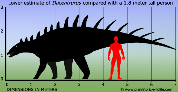 Dinosaurios y Vida Prehistórica: Dacentrurus. El primer dinosaurio con ...