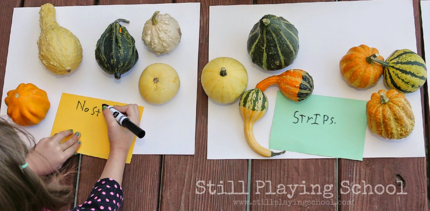 Learning with Gourds: Comparing, Sorting, and Labeling for Fall | Still ...