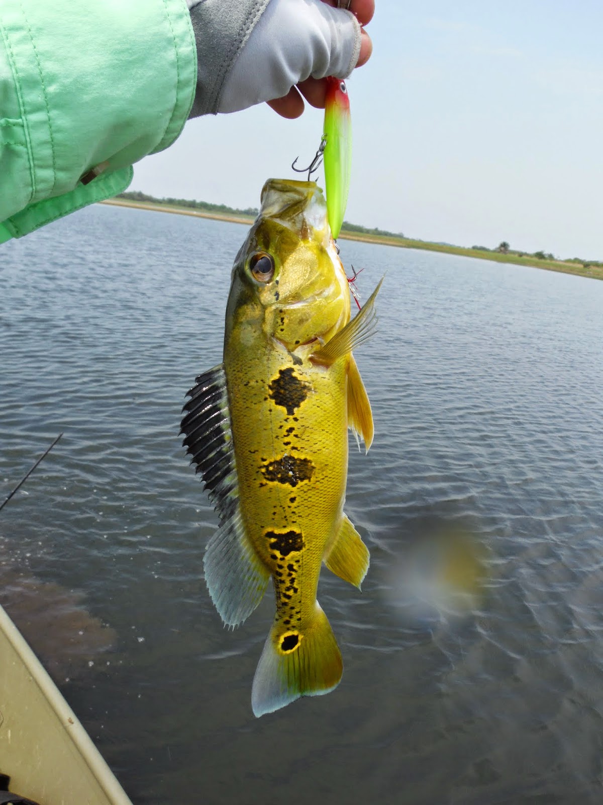 Espacio de Pesca: Pesca de Pavon o Tucunare en Laguna Rio Meta, Puerto ...