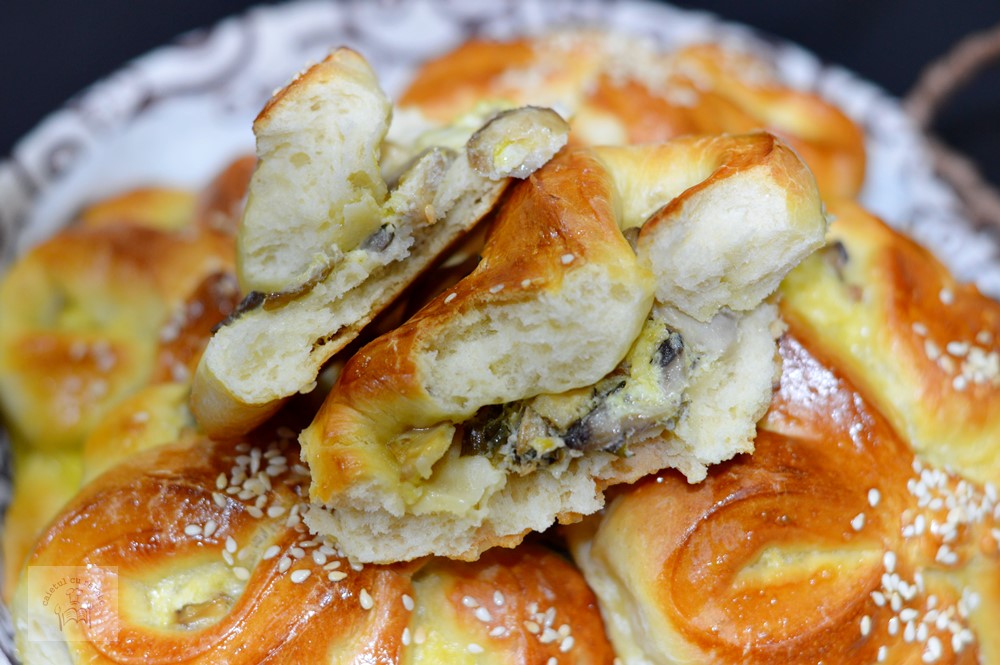 Placinte cu ciuperci - CAIETUL CU RETETE