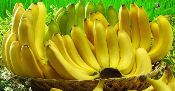 Panorama Rural, Ahora: La banana mexicana sigue teniendo buenos ...