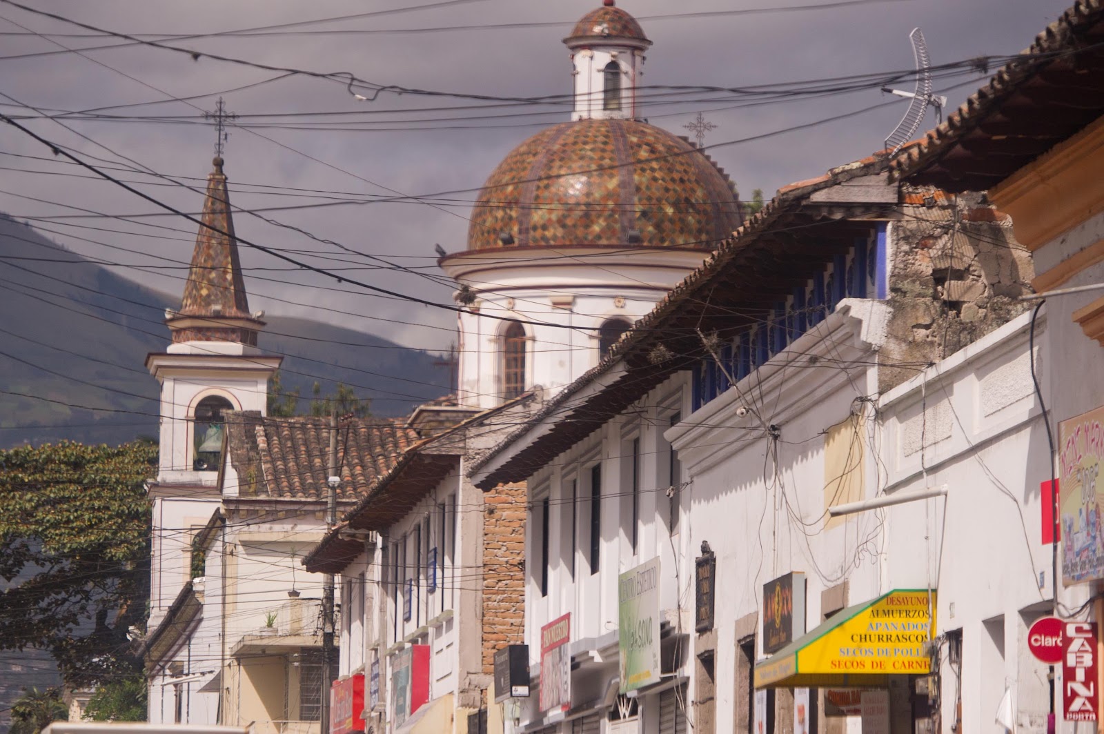 Alegria de la Vida: A Visit to Ibarra