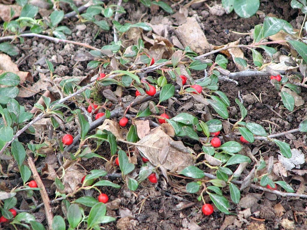 kahe valla piiri peal: R, S, T