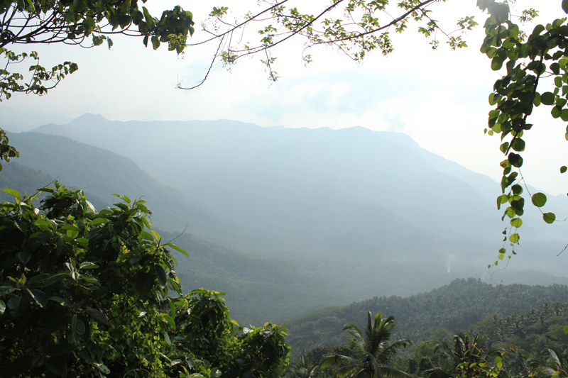 Kerala Hills: Vayalada - Balussery, Kozhikode