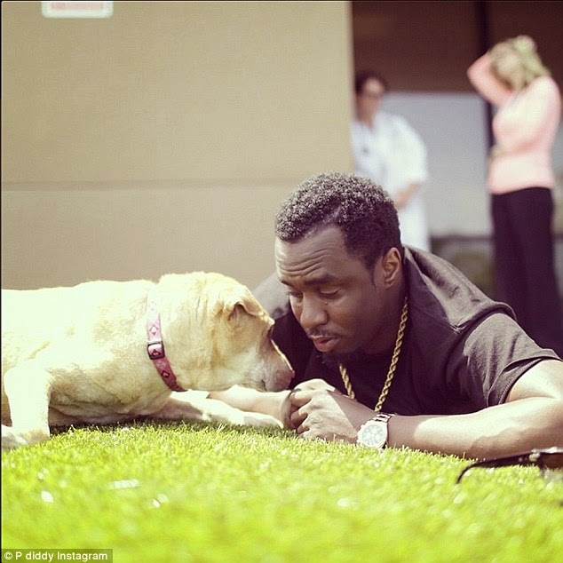 The Deluxe Delight Blog.: Sad: P.Diddy loses his dog.