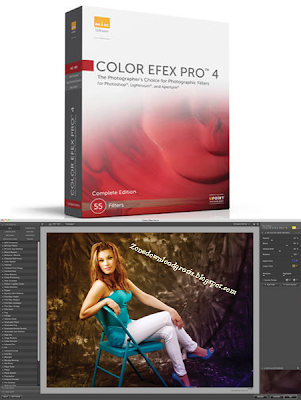 Free Download Nik Software Color Efek Pro 4 Full Version | Download Gratis