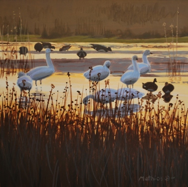 The Art of Peter Mathios: Waterfowl Dawn