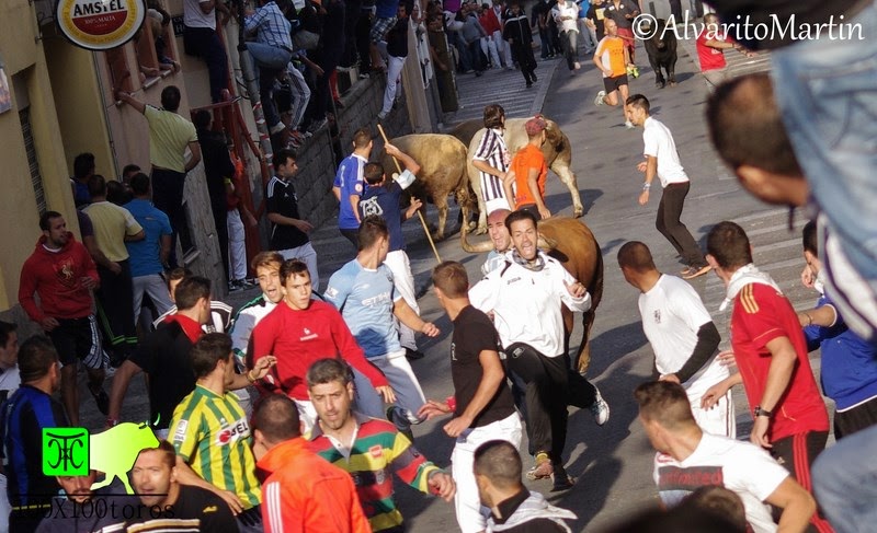 100x100 Toros: Segundo encierro de Arganda del Rey desde el objetivo de ...