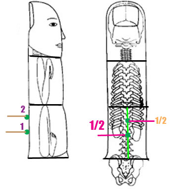 Su-jok acupuncture methods and treatment (Su-jok medicine blog): 2011