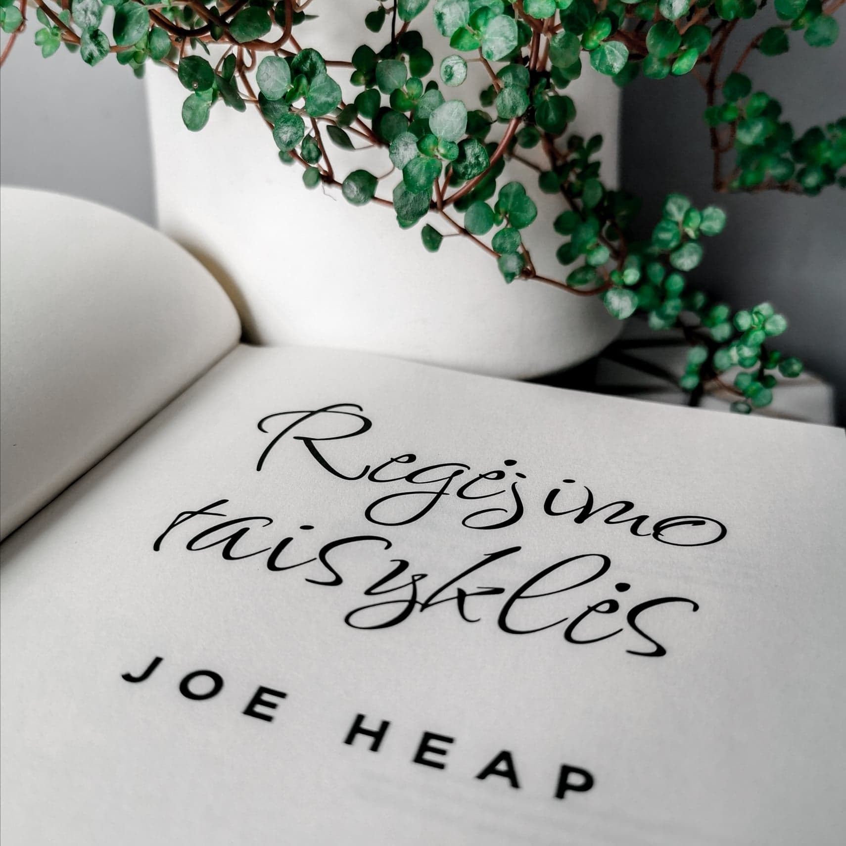 REGĖJIMO TAISYKLĖS - Joe Heap